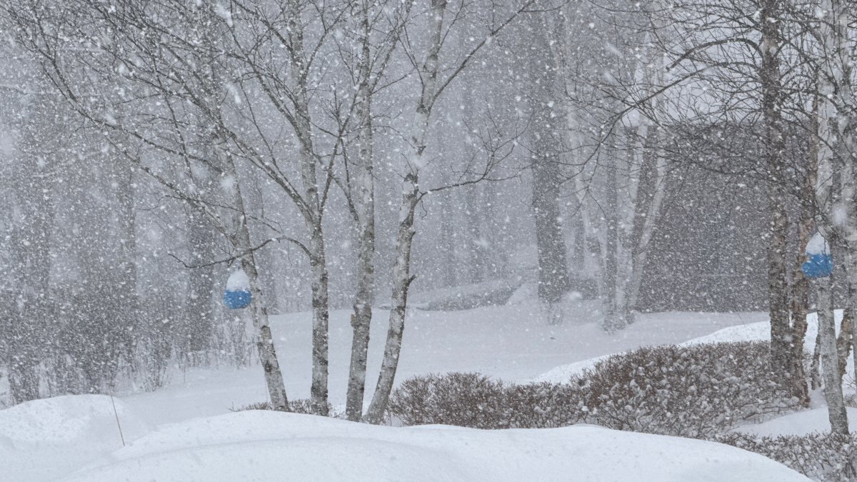 Snowy start to a bitterly cold weekend – NBC Connecticut