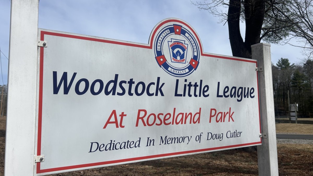 Woodstock baseball community remembers 20-year-old who died in canoe ...