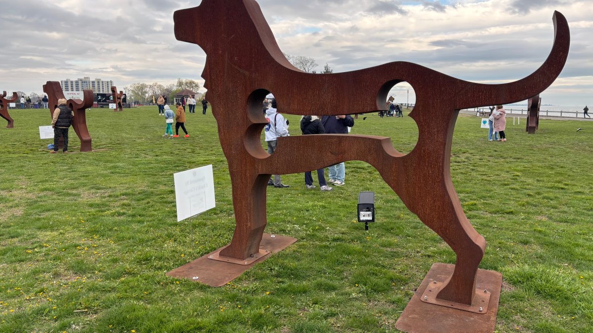 ‘The Big Dog Show’ art exhibition raises money for West Haven animal ...