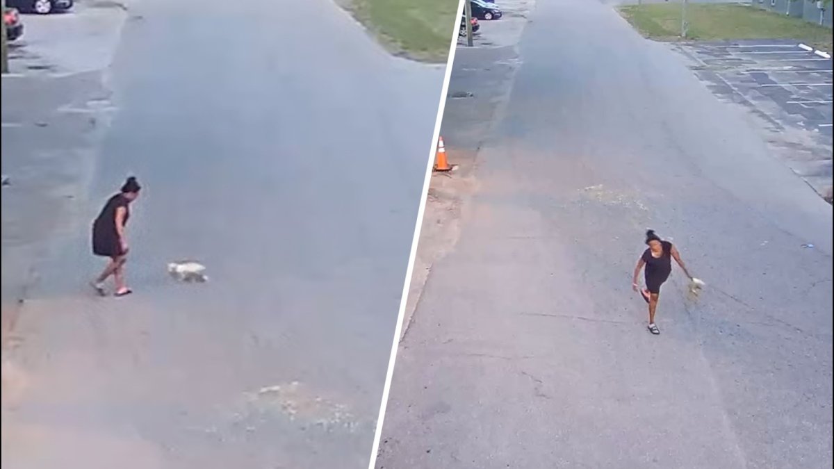 Disturbing video of Florida woman throwing and kicking a dog – NBC ...