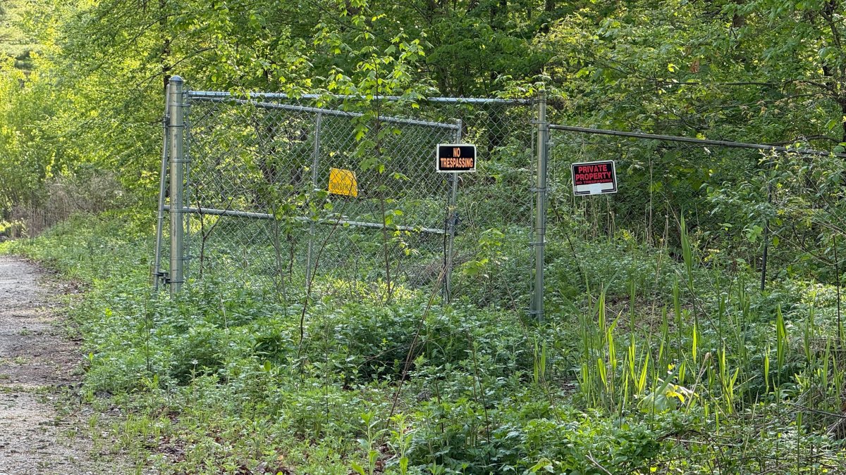 Large scale cockfighting ring under investigation in Tolland – NBC ...