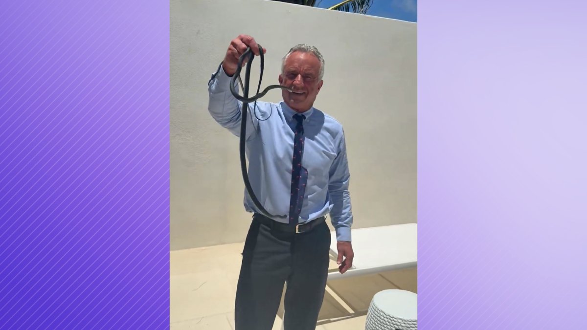 Robert F. Kennedy Jr. picks up two snakes with bare hands video – NBC ...