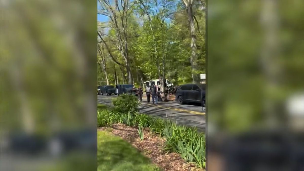 Tolland neighbors surprised after large cockfighting ring raid – NBC ...