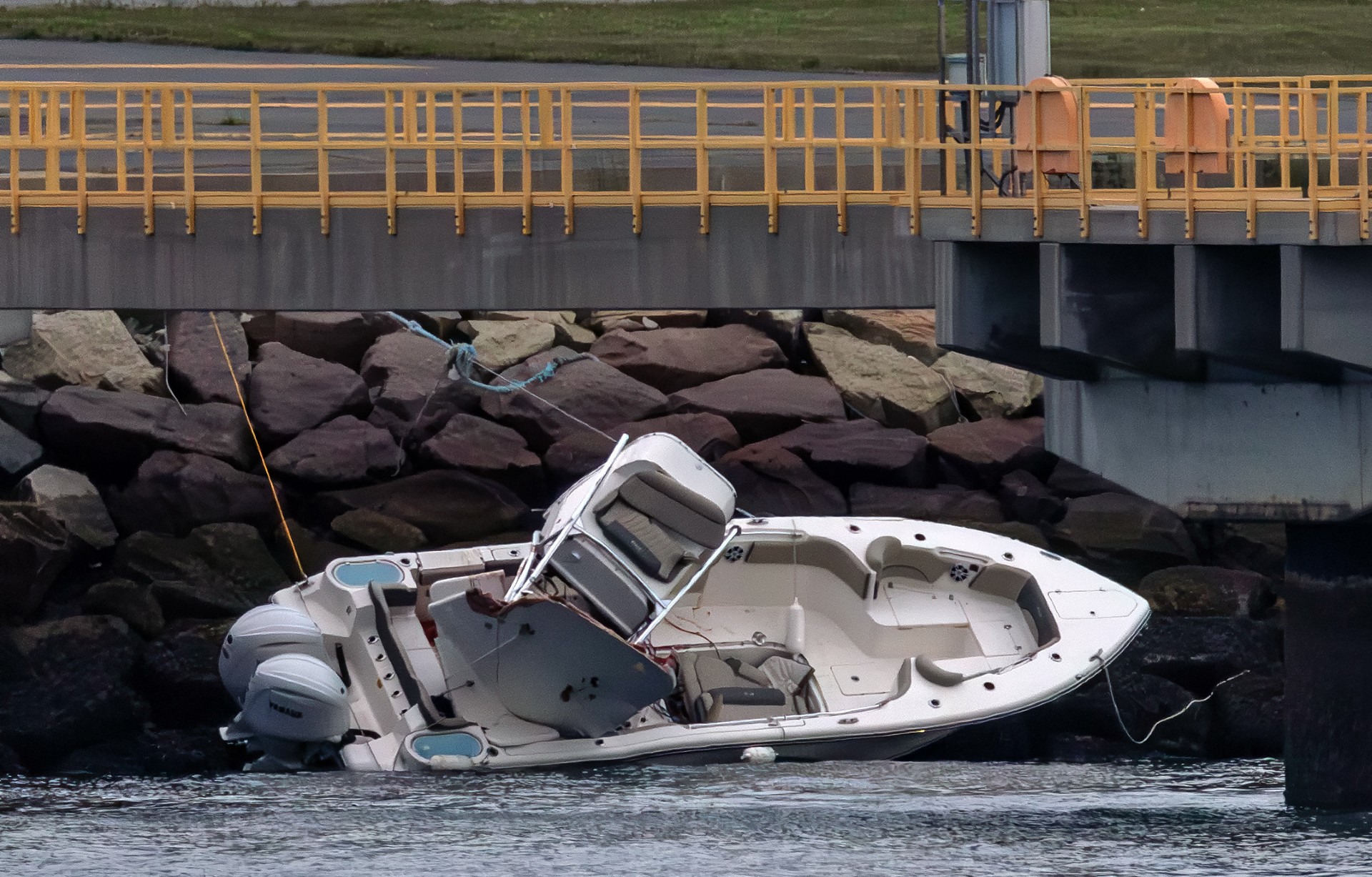 Elizabeth Dankert killed in Boston Harbor airport pier boat crash – NBC ...