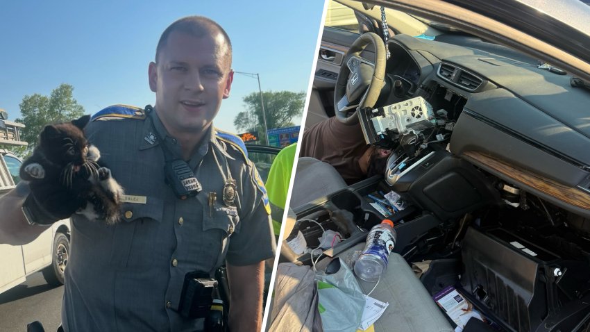 Trooper helps rescue kitten from vehicle on I-91 – NBC Connecticut