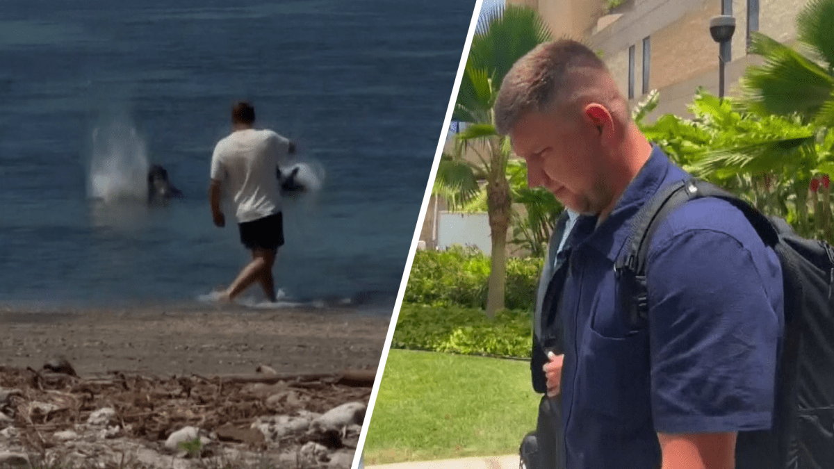 Man pleads not guilty after throwing rock at critically endangered monk ...