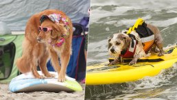 Connecticut News | NBC Connecticut