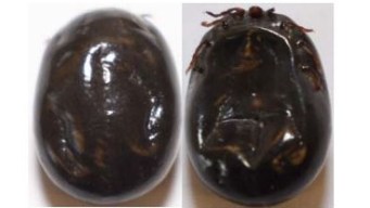 Connecticut News | NBC Connecticut