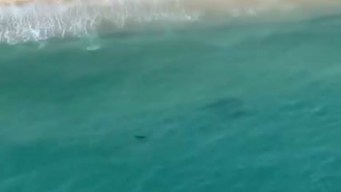 Connecticut News | NBC Connecticut