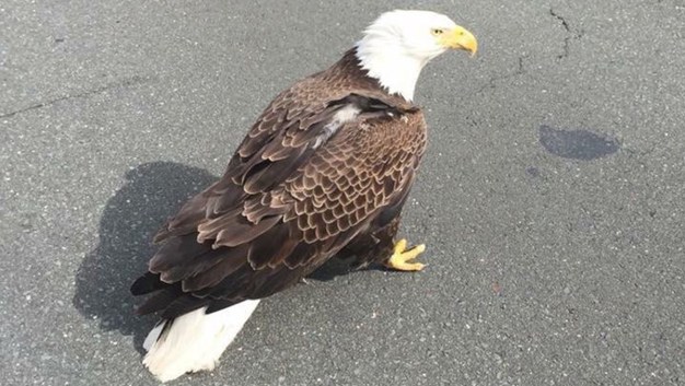 Connecticut News | NBC Connecticut